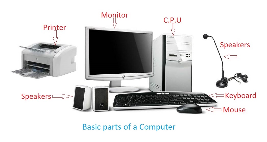Input and Output Devices of Computer - W-Tech Learning Center